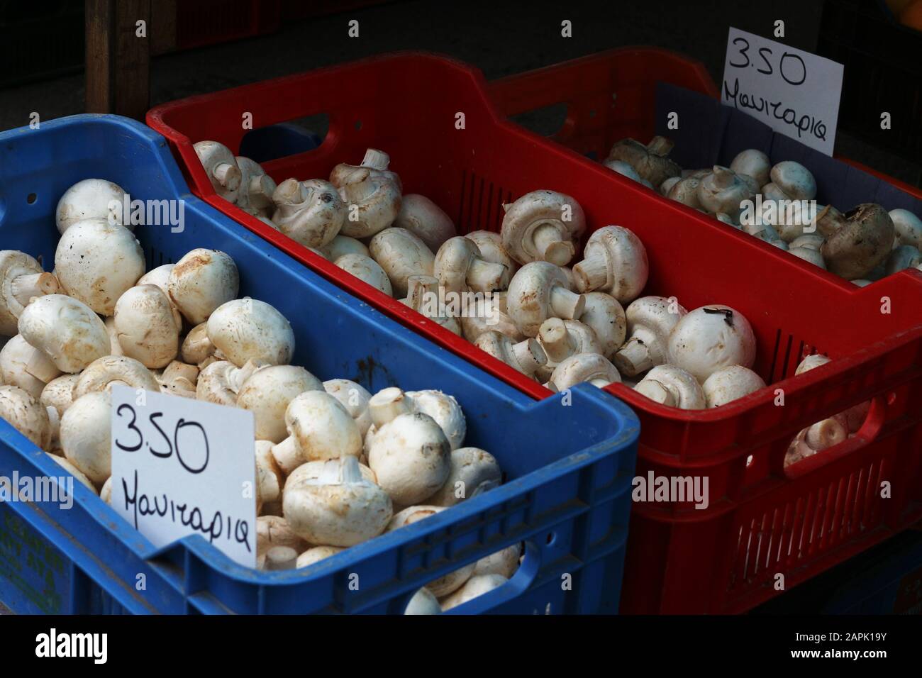 Edible mushroom boxes hi-res stock photography and images - Alamy