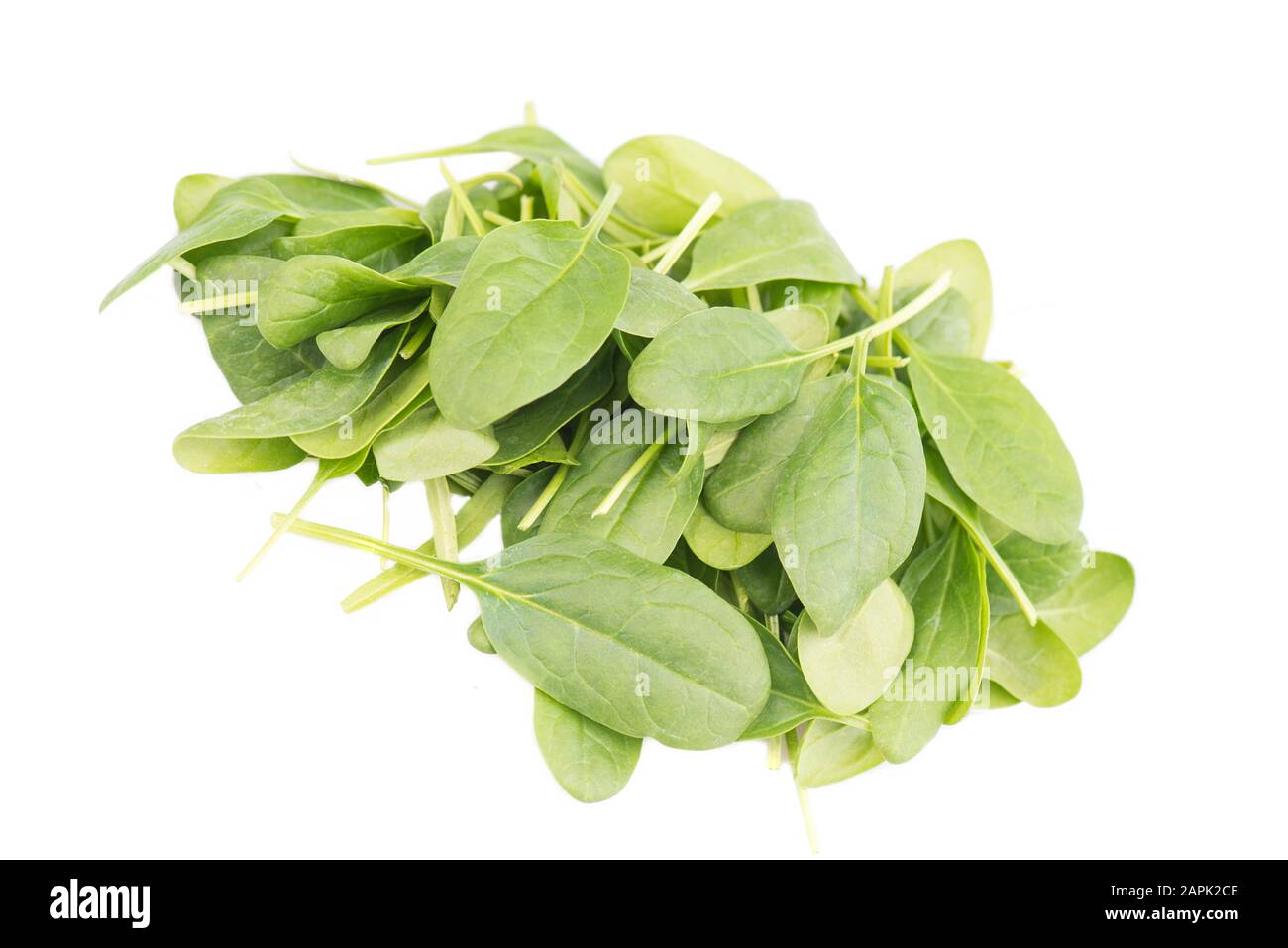 Close up spinach vegan Cut Out Stock Images & Pictures - Alamy