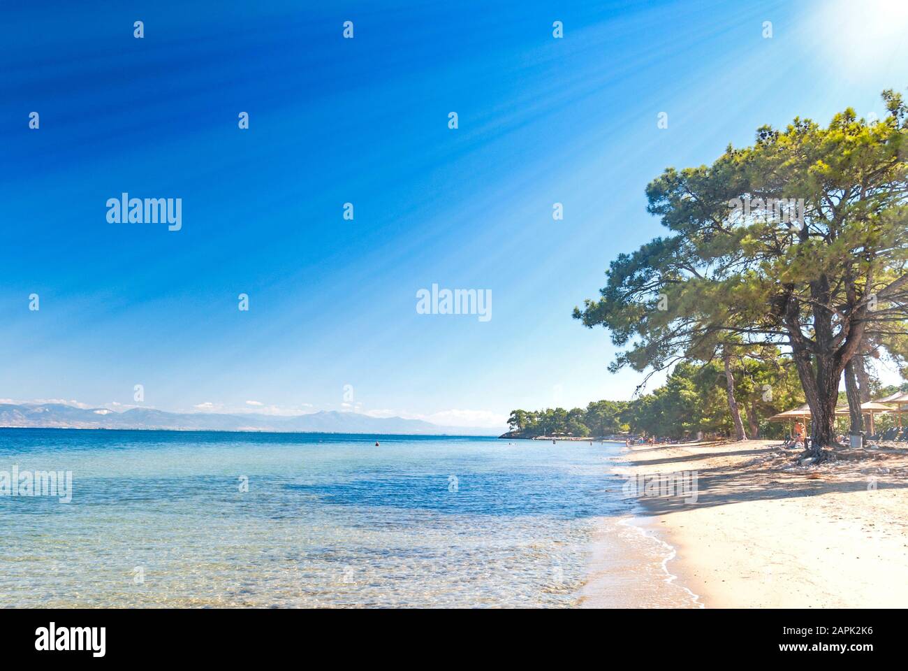 Beach (Pachis) in Thasos island, Greece, crystal clear Aegean Sea water ...