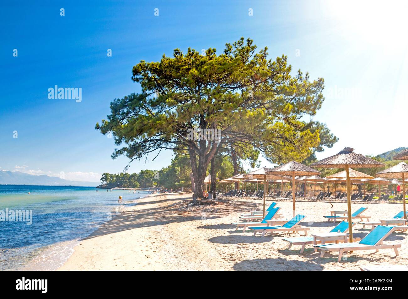 Beach (Pachis) in Thasos island, Greece, crystal clear Aegean Sea water ...
