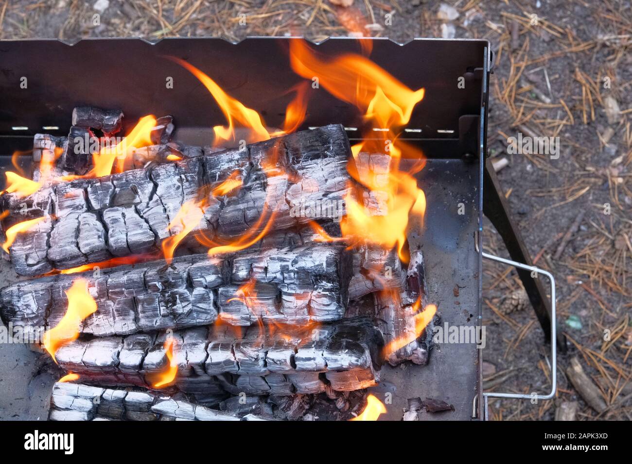 Burning woods in fireplace. Wood fire prepared for barbecue. Grilling ...