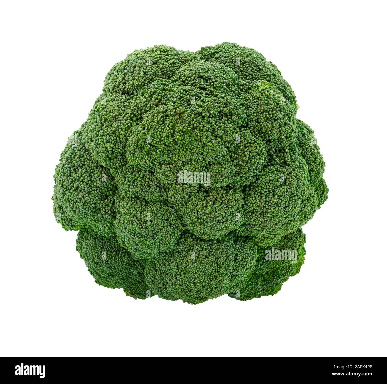 Fresh broccoli isolated on white background. Broccoli top view Stock ...