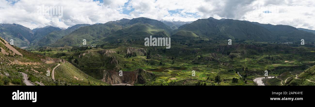 Cactus colca canyon andes peru hi-res stock photography and images - Alamy