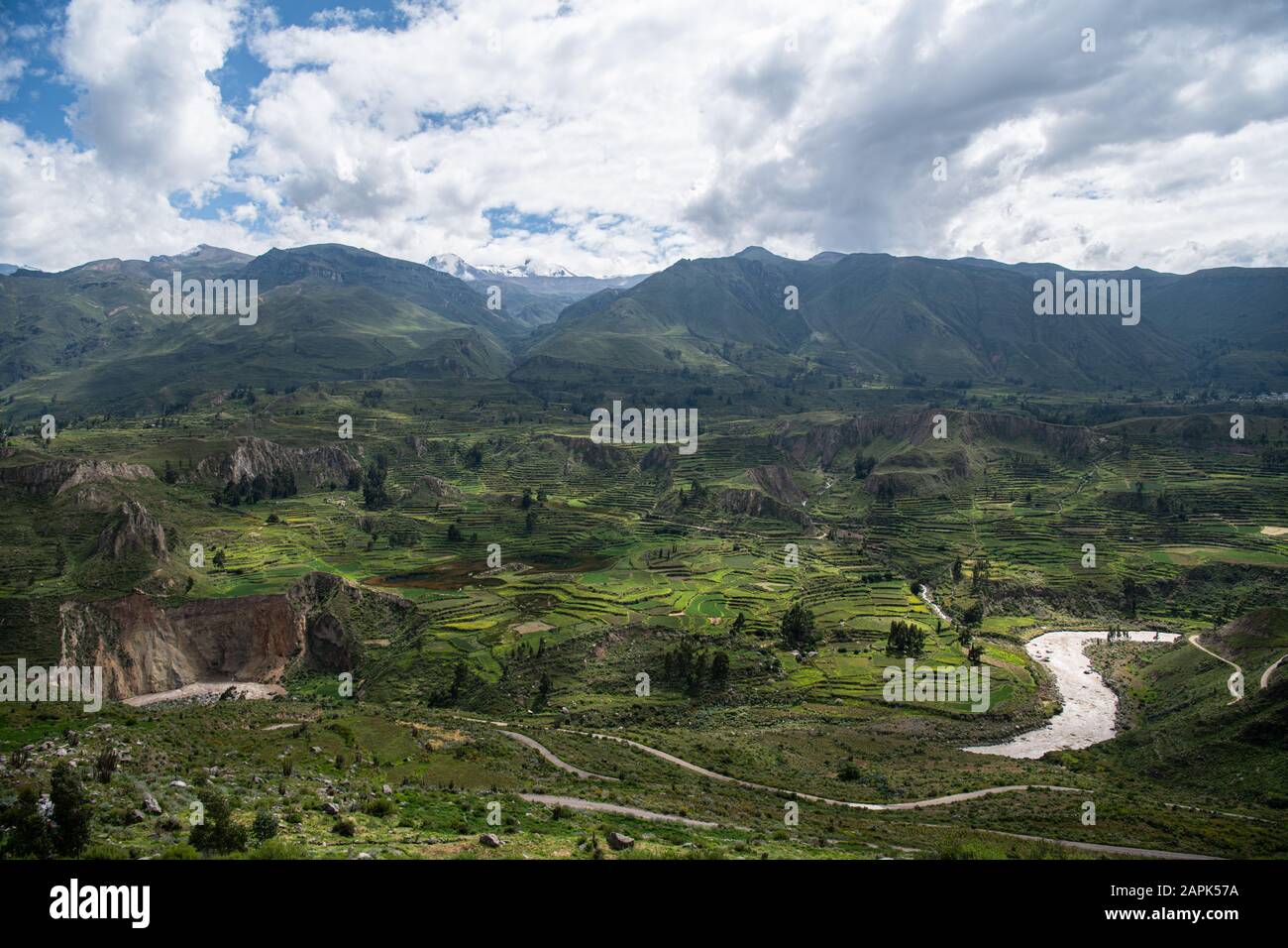 Cactus colca canyon andes peru hi-res stock photography and images - Alamy