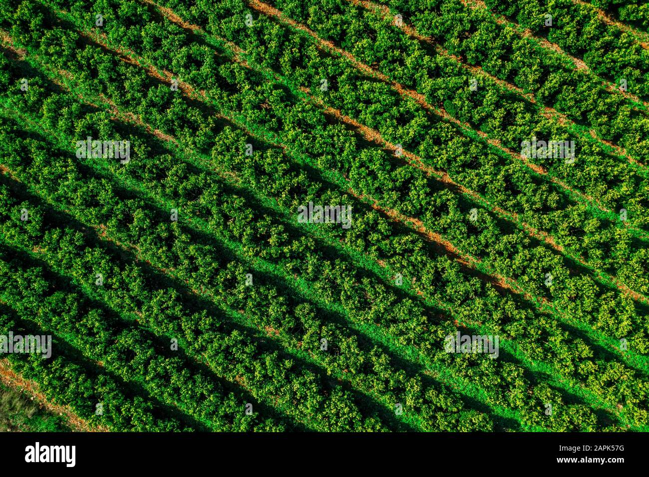 Horizontal rows hi-res stock photography and images - Alamy