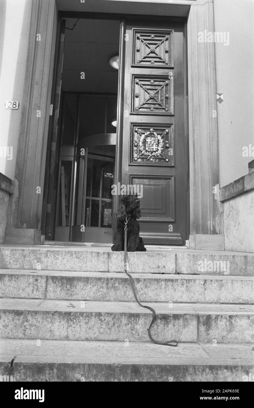 Animal judges hi-res stock photography and images - Alamy