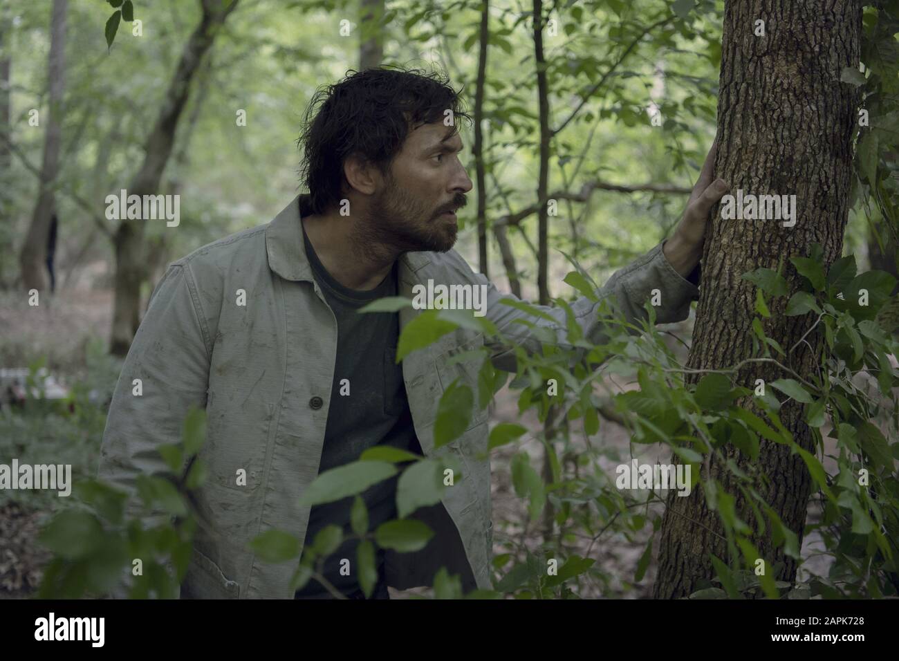 Juan javier cardenas hi-res stock photography and images - Alamy