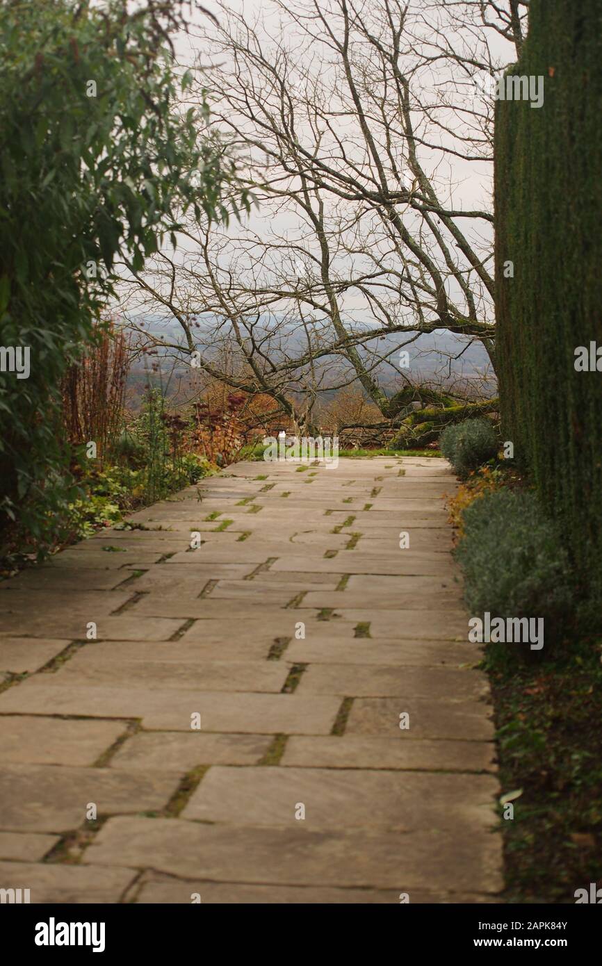 Evergreen garden shrubs hi-res stock photography and images - Alamy