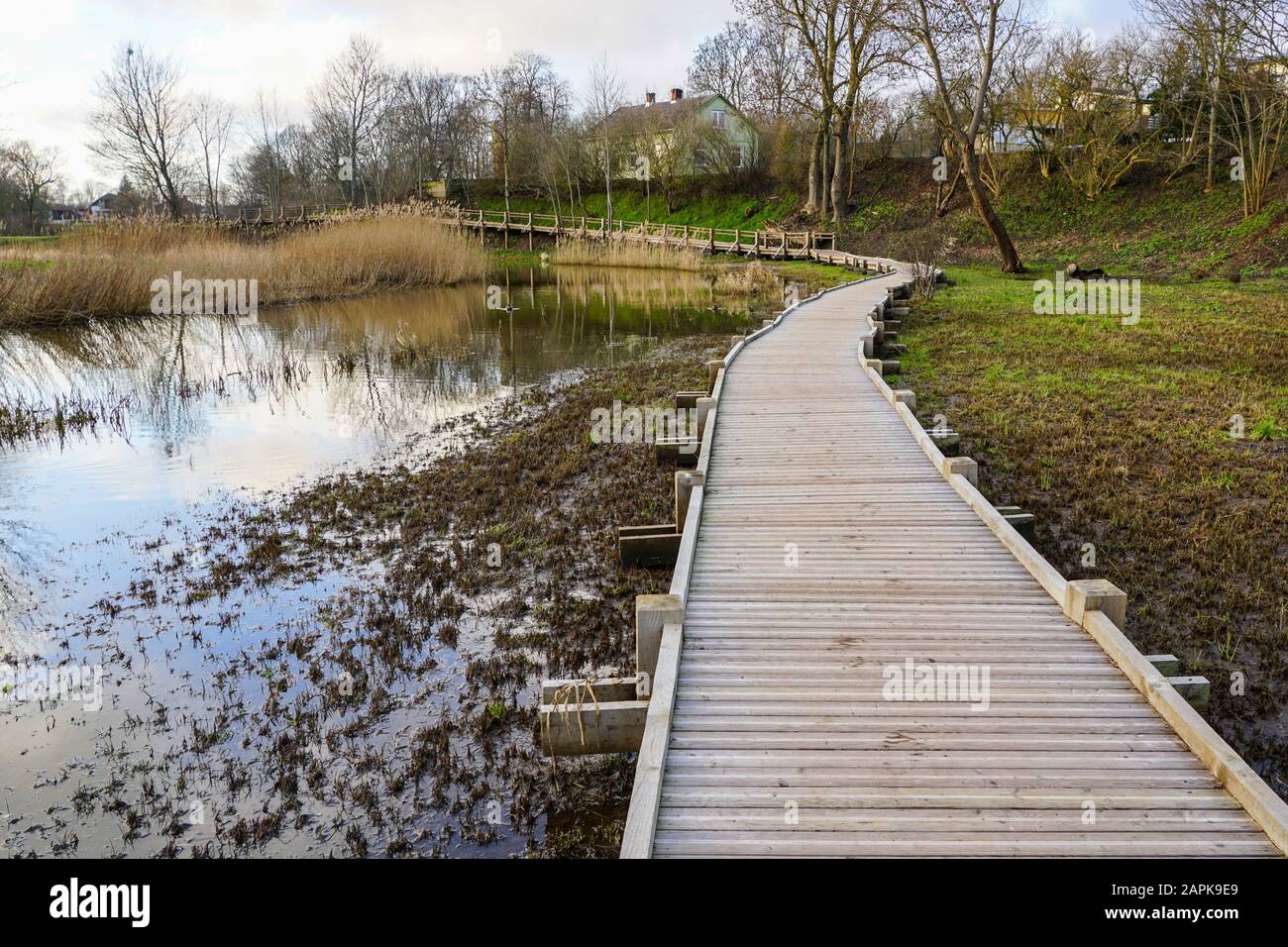 new wooden footpath for walk in nature park Stock Photo - Alamy