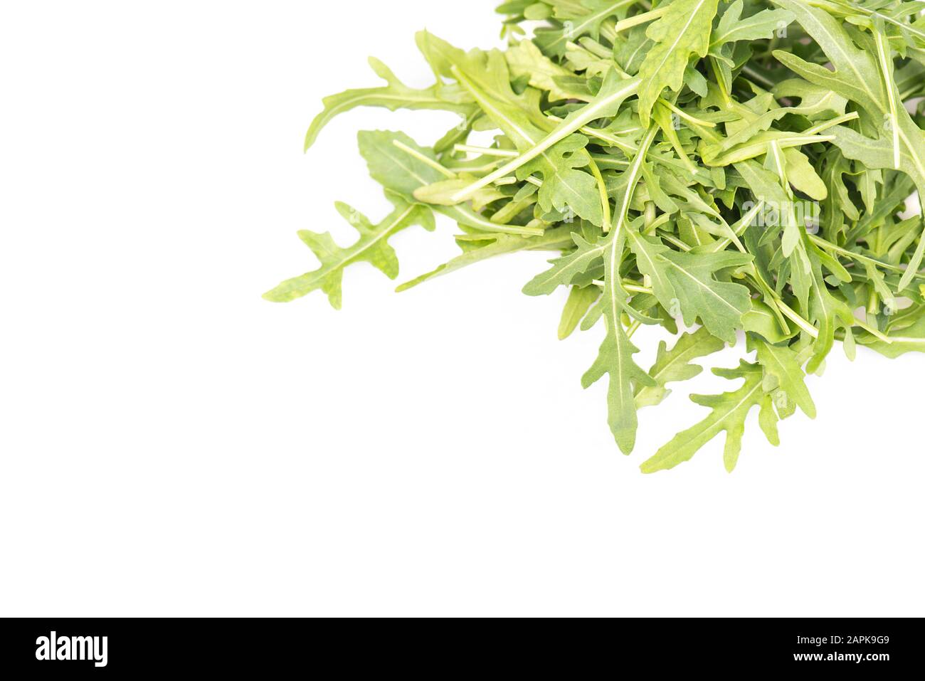 Fresh argugula leaves, healthy salad Stock Photo - Alamy