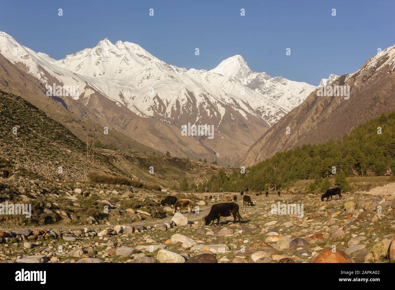 Snow capped mountains himalayas hi-res stock photography and images - Alamy