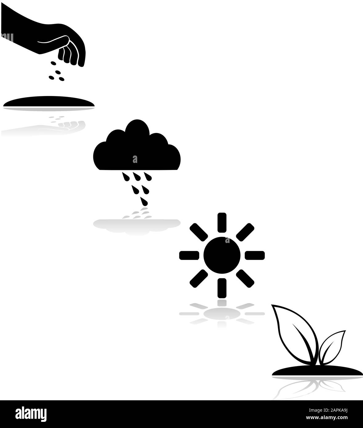 Icon set showing the steps needed for a plant to grow, with seeding ...