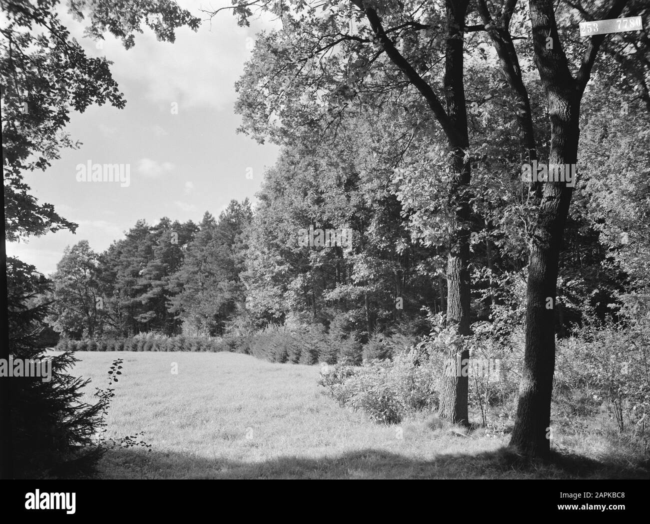 Natural open grass land Black and White Stock Photos & Images - Alamy