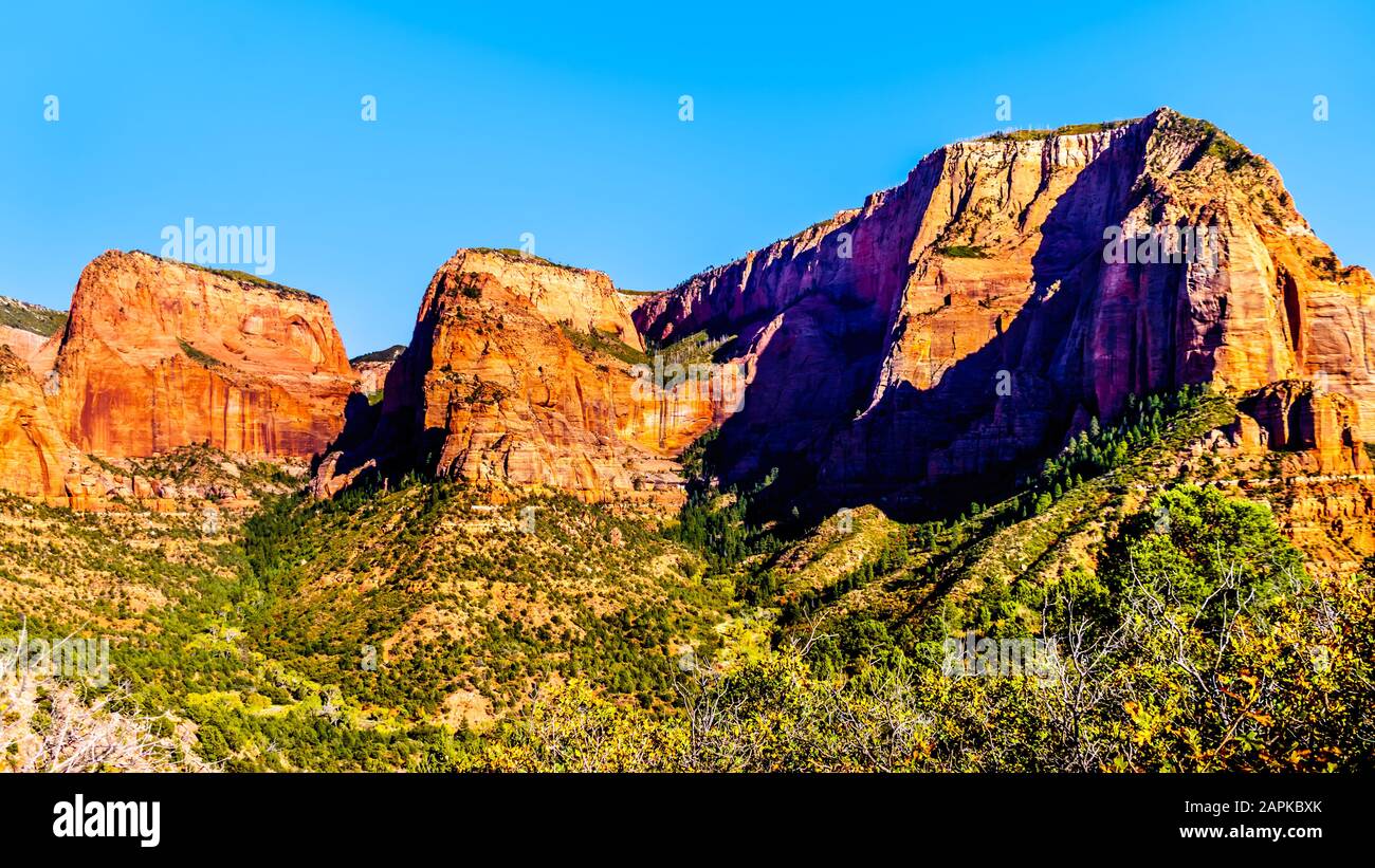 View of Nagunt Mesa, Shuntavi Butte and other Red Rock Peaks in Kolob ...