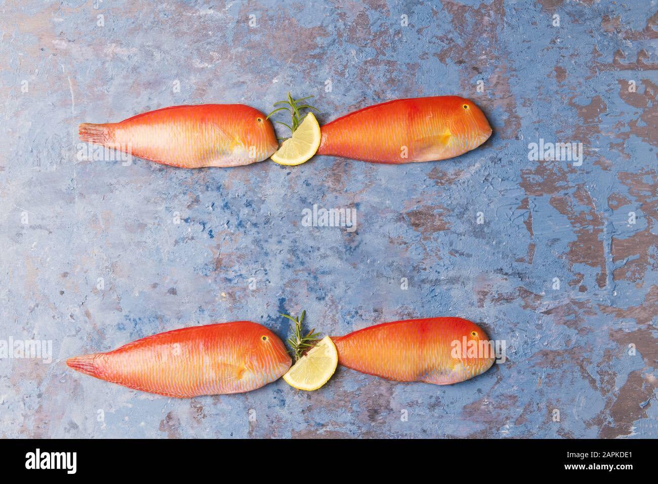 Beautiful tropical red sea fish Pearly razorfish on a blue background ...