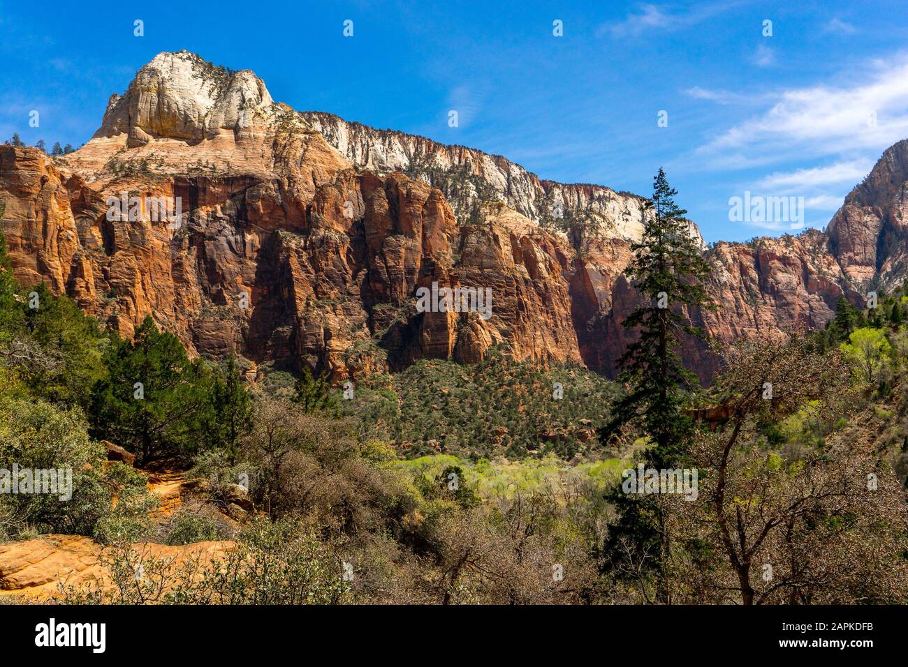 The Narrows within Zion National Park, Utah Stock Photo - Alamy