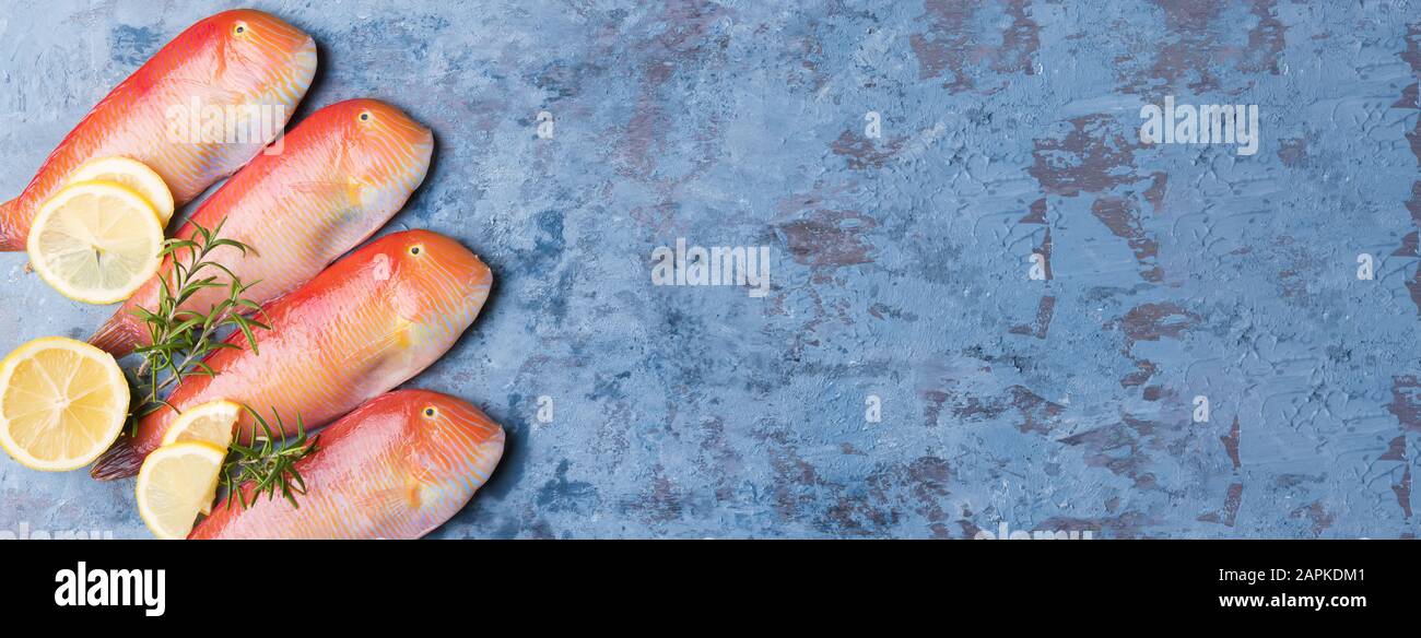 Beautiful tropical red sea fish Pearly razorfish on a blue background ...