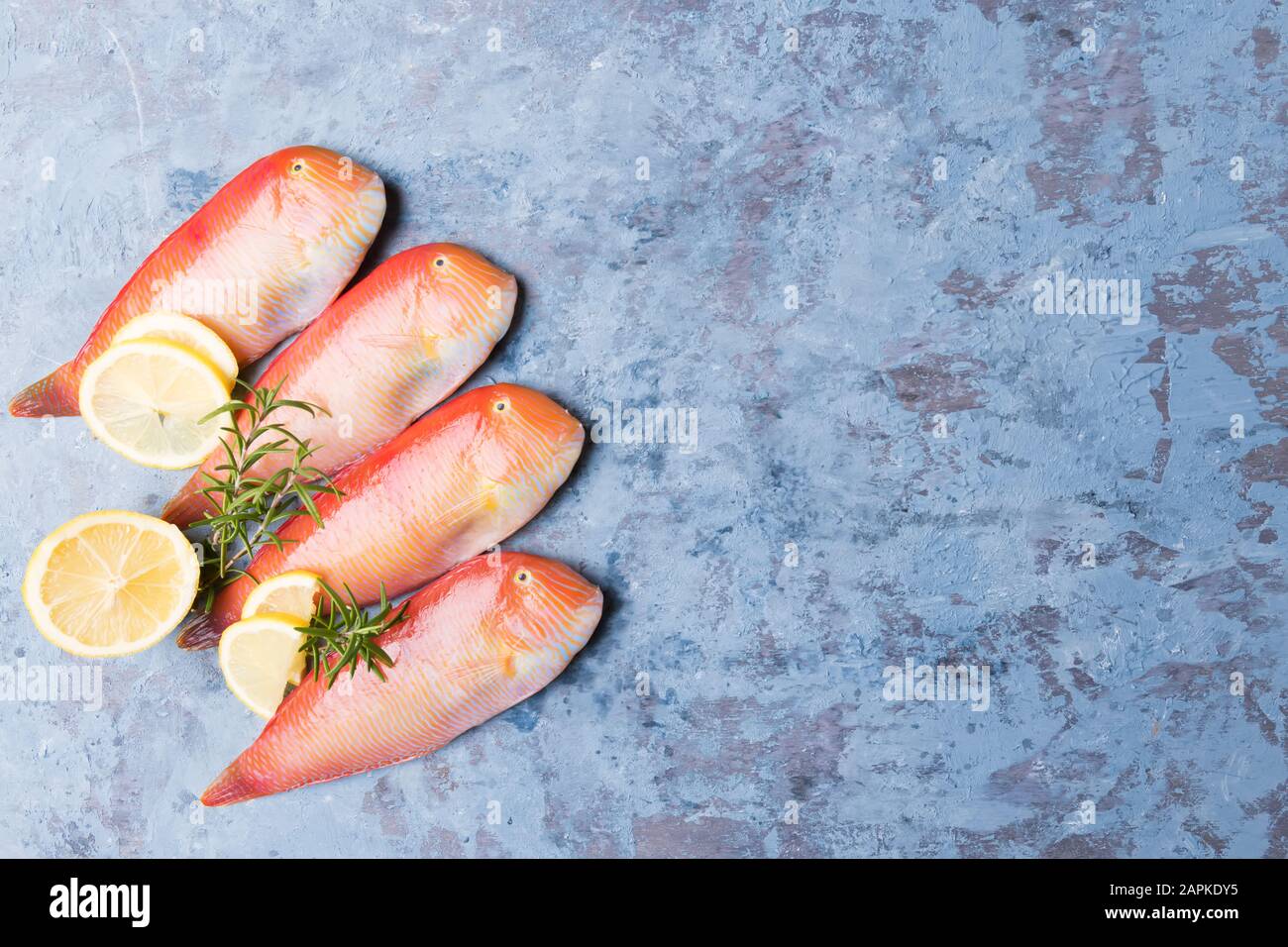 Beautiful tropical red sea fish Pearly razorfish on a blue background ...