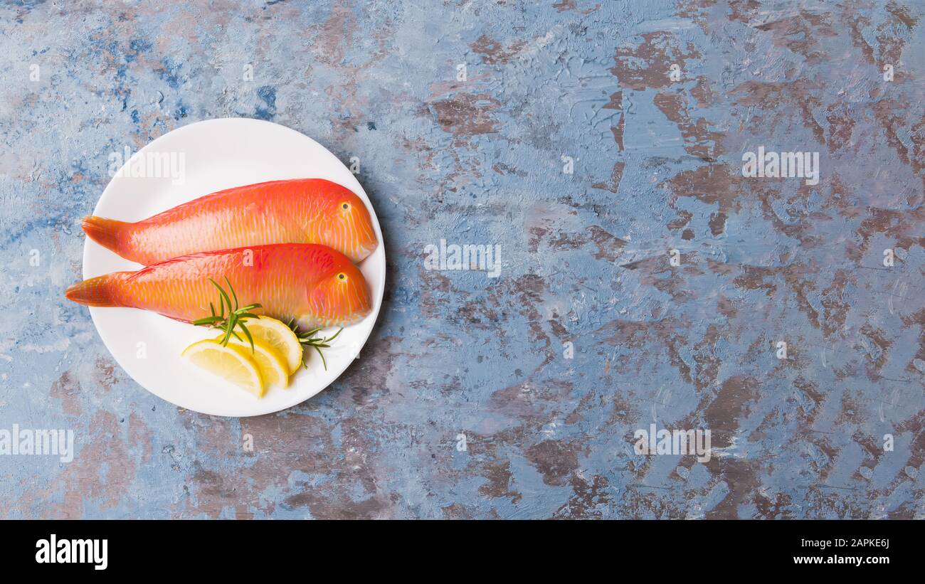 Beautiful tropical red sea fish Pearly razorfish on a blue background ...