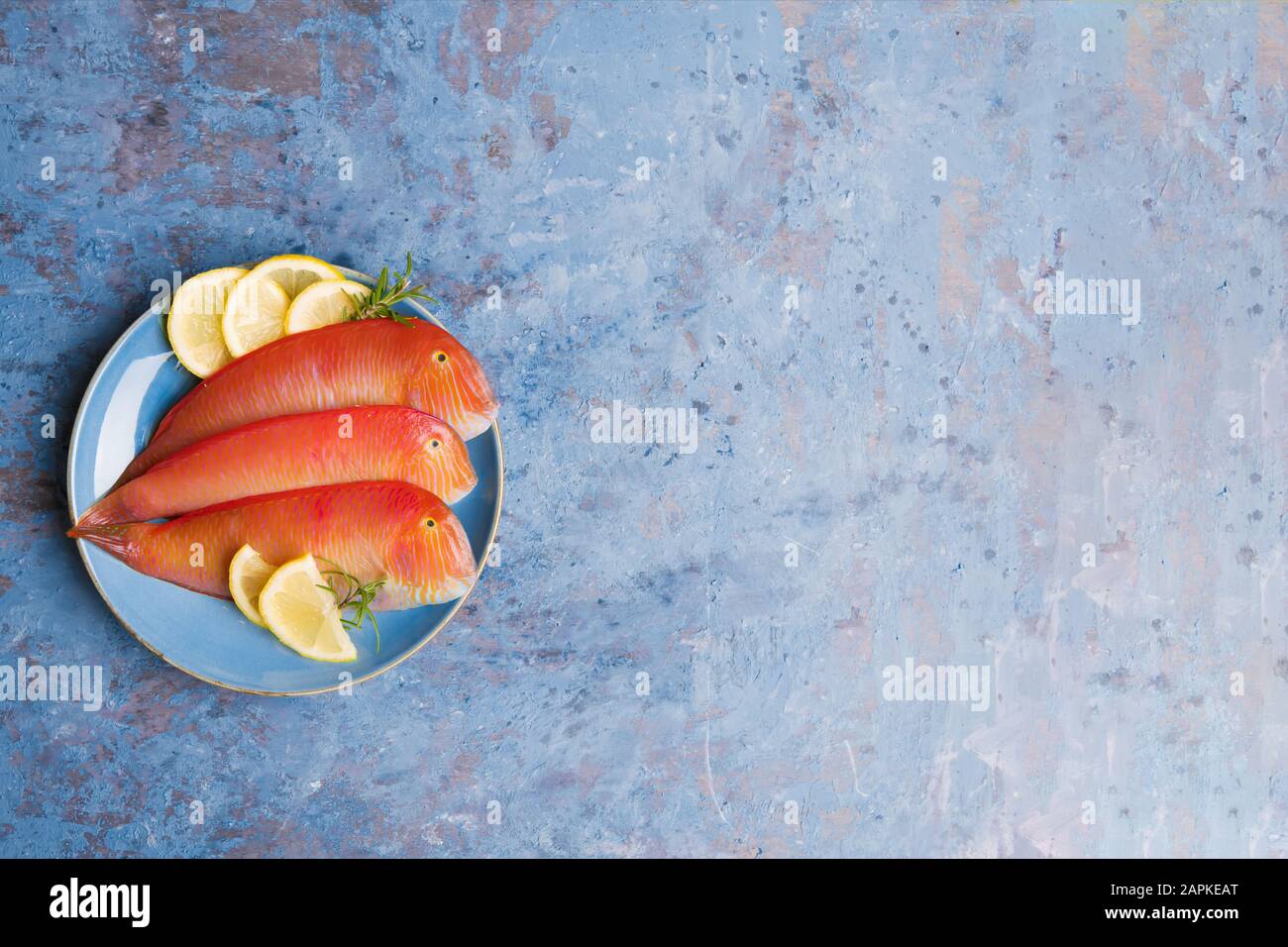 Beautiful tropical red sea fish Pearly razorfish on a blue background ...