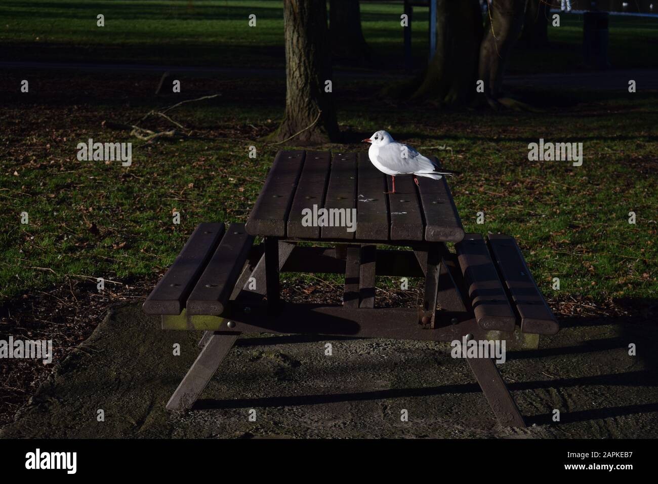 Picnic table by loch hi-res stock photography and images - Alamy