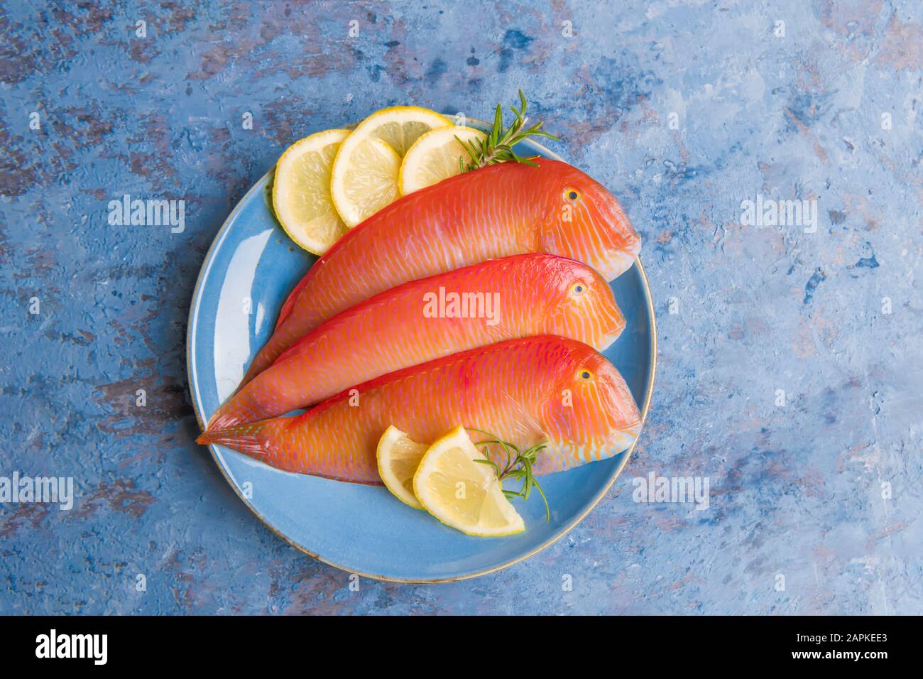 Blue razorfish hi-res stock photography and images - Alamy