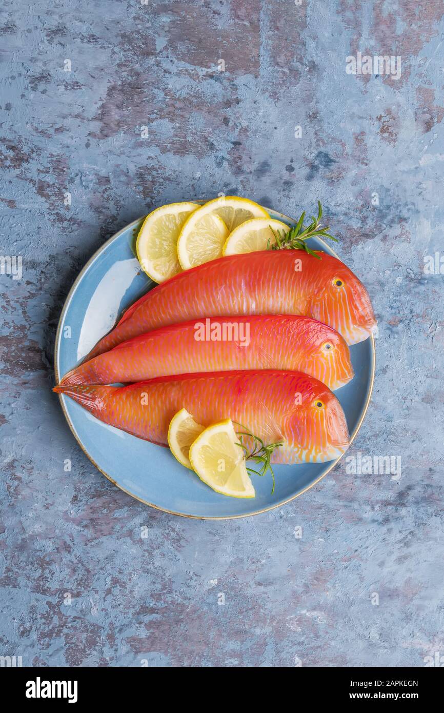 Beautiful tropical red sea fish Pearly razorfish on a blue background ...