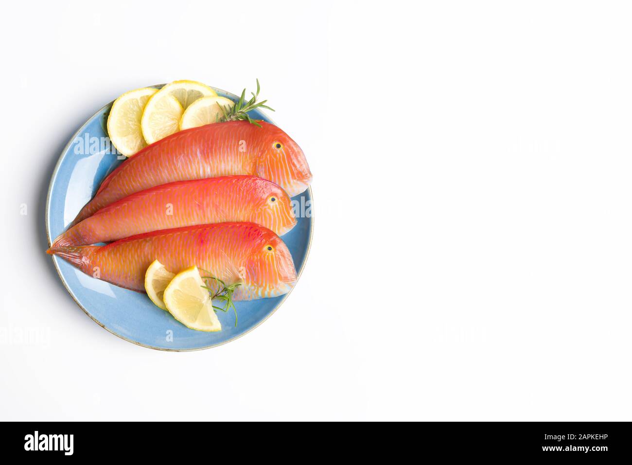 Beautiful tropical red sea fish Pearly razorfish on a blue background ...