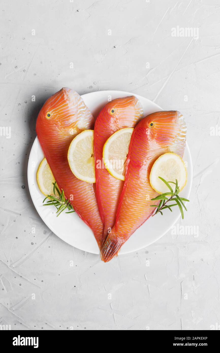 Beautiful tropical red sea fish Pearly razorfish on a blue background ...