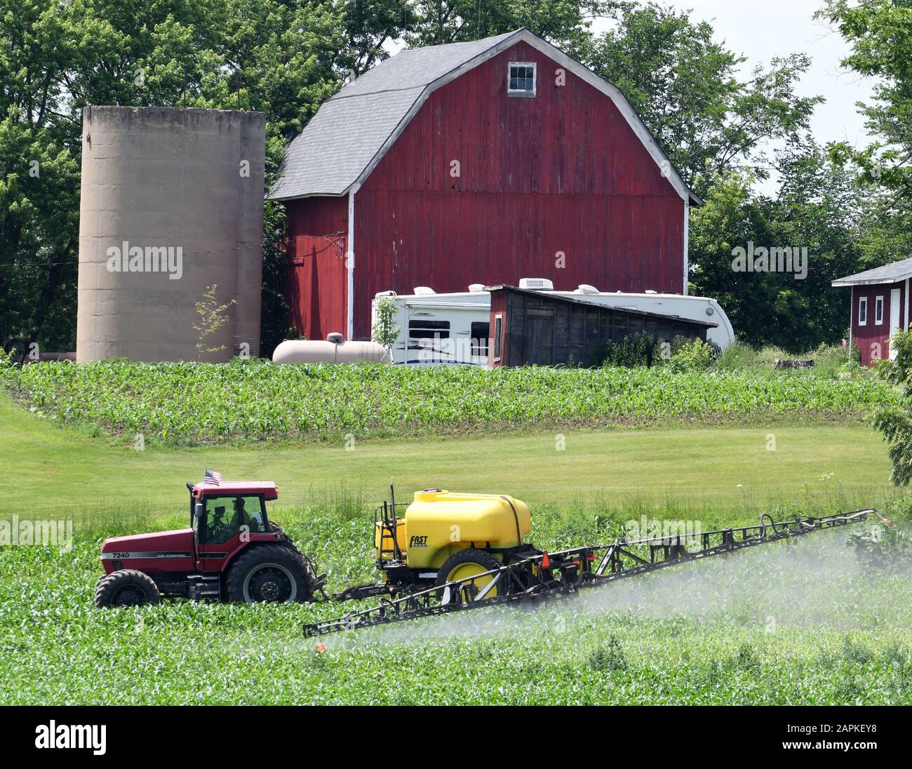 American Flag Field Corn High Resolution Stock Photography and Images ...