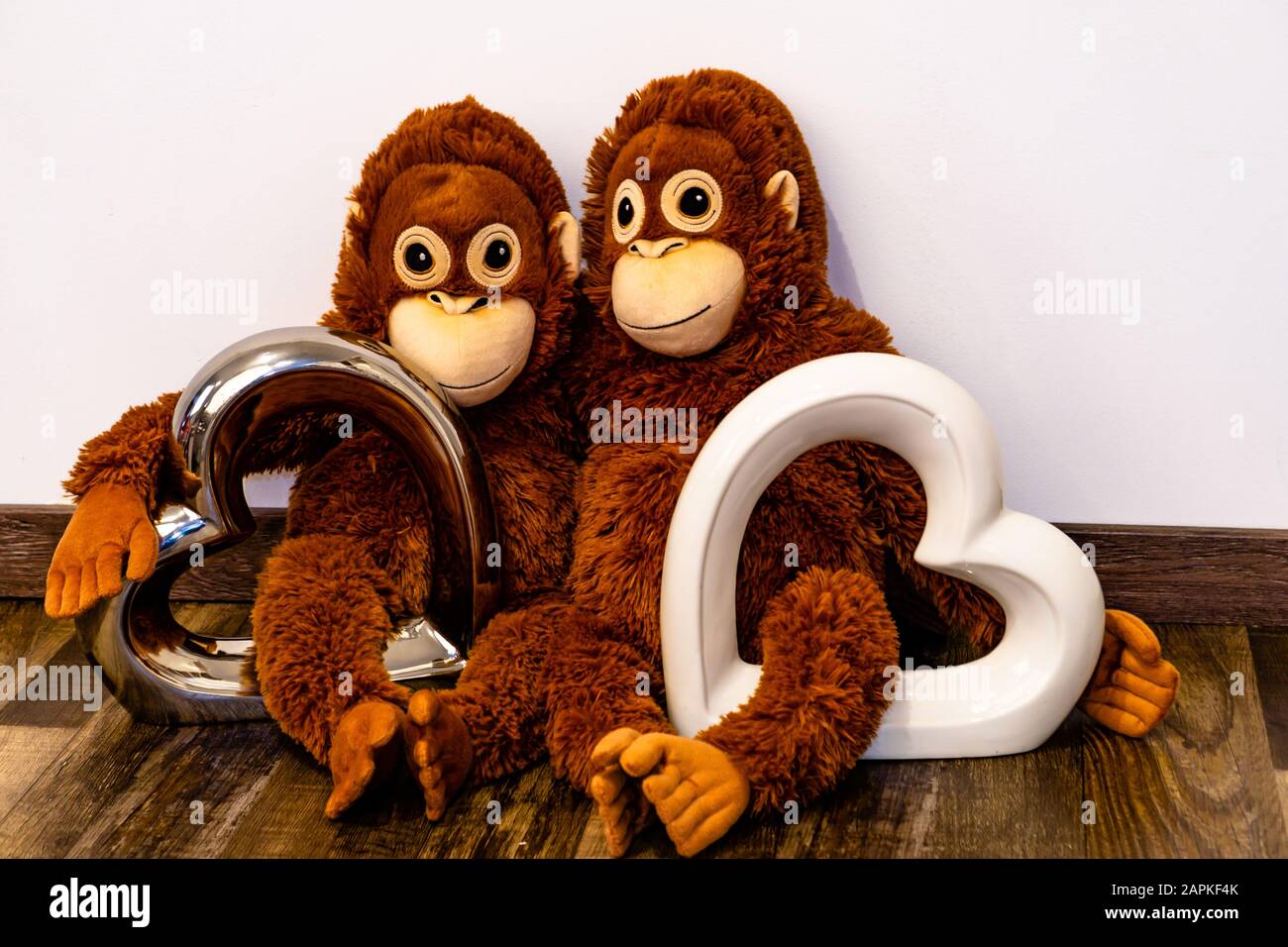 Funny Pictures Of Monkeys Getting Married