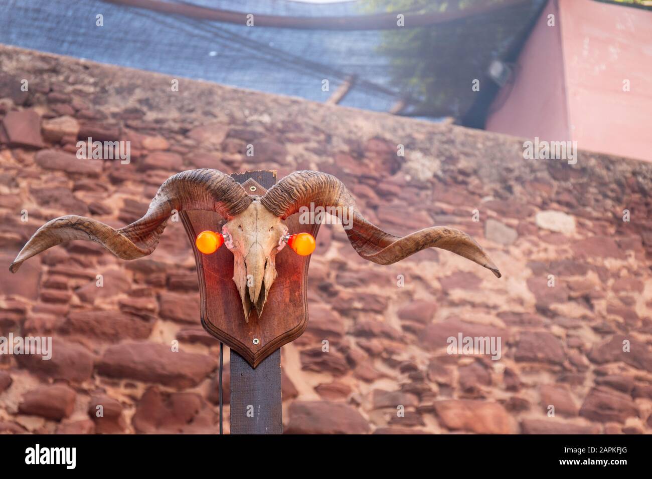 Close up view of a goat's skull with horns on a medieval festival Stock ...