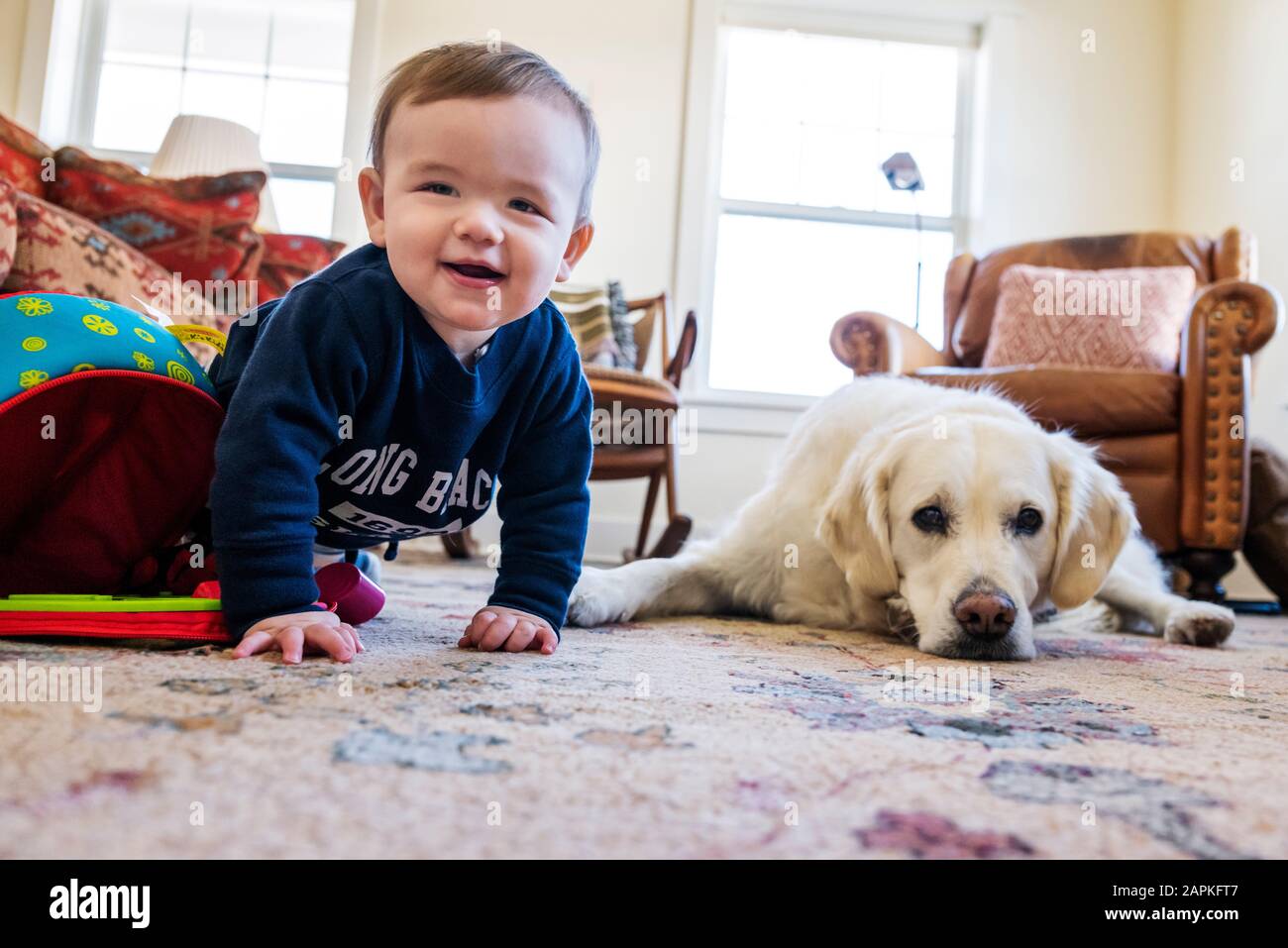 Crawling seven month old baby boy with platinum colored Golden ...