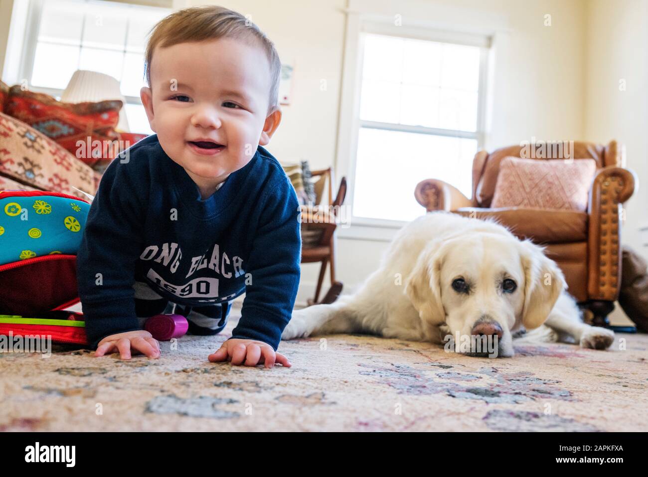 Crawling seven month old baby boy with platinum colored Golden ...