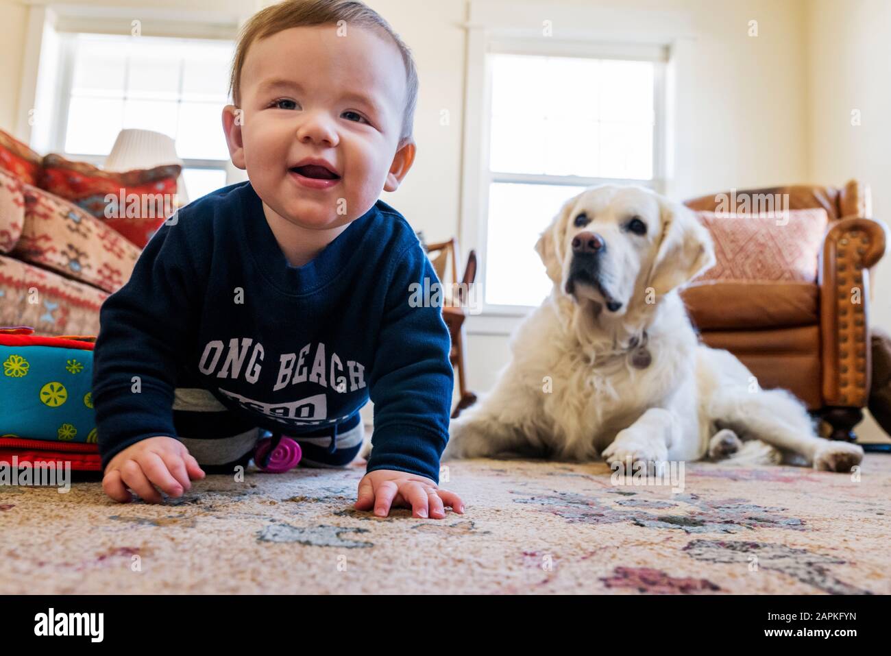 Crawling seven month old baby boy with platinum colored Golden ...
