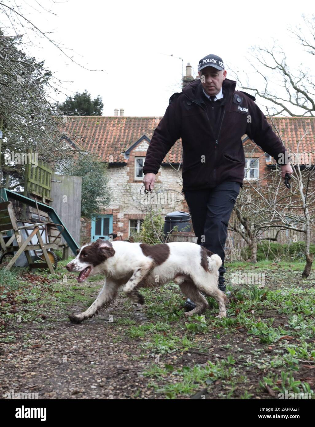 West Newton, Norfolk, UK. 23rd Jan, 2020. A police search dog patrols ...