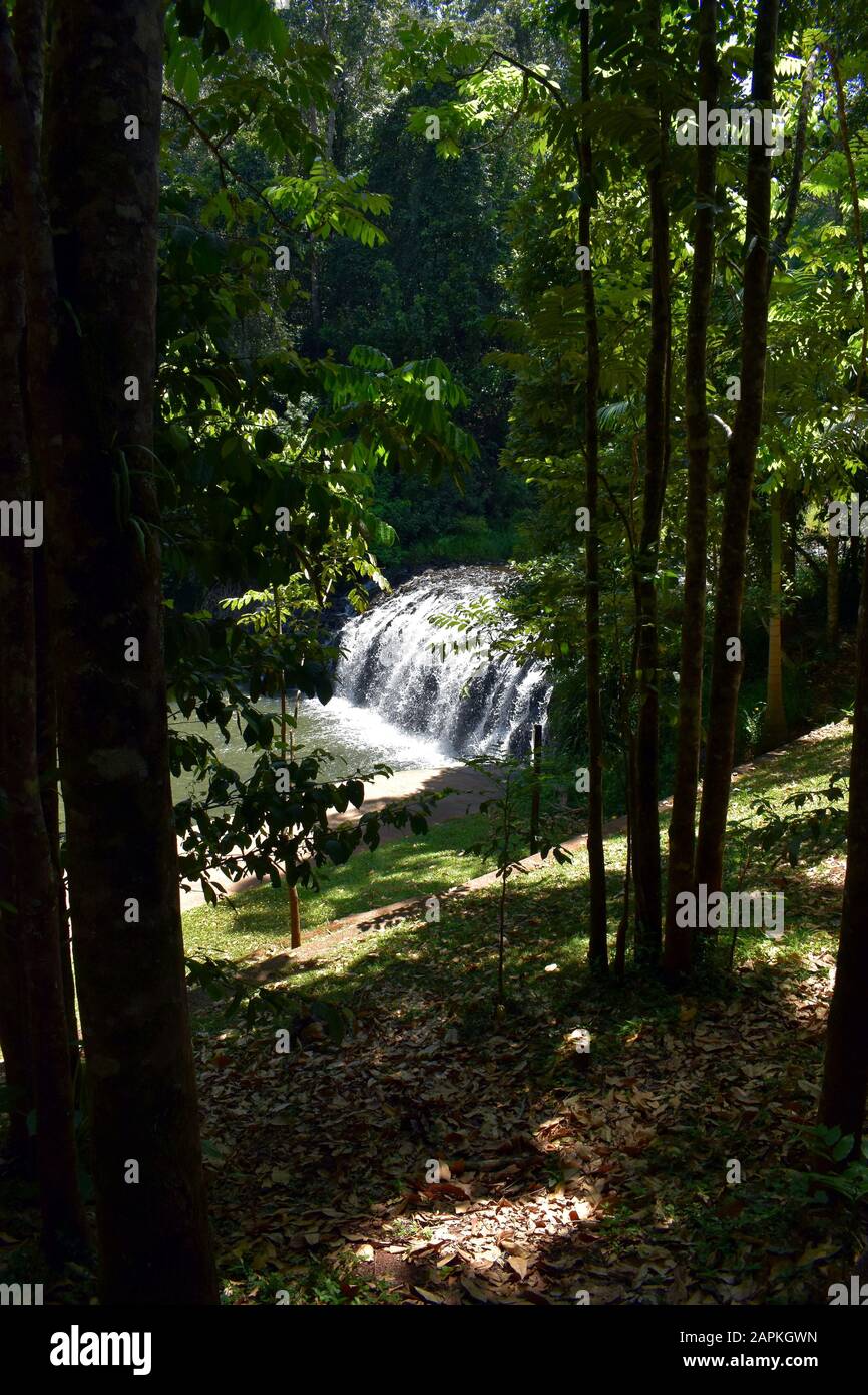 Malanda High Resolution Stock Photography and Images - Alamy