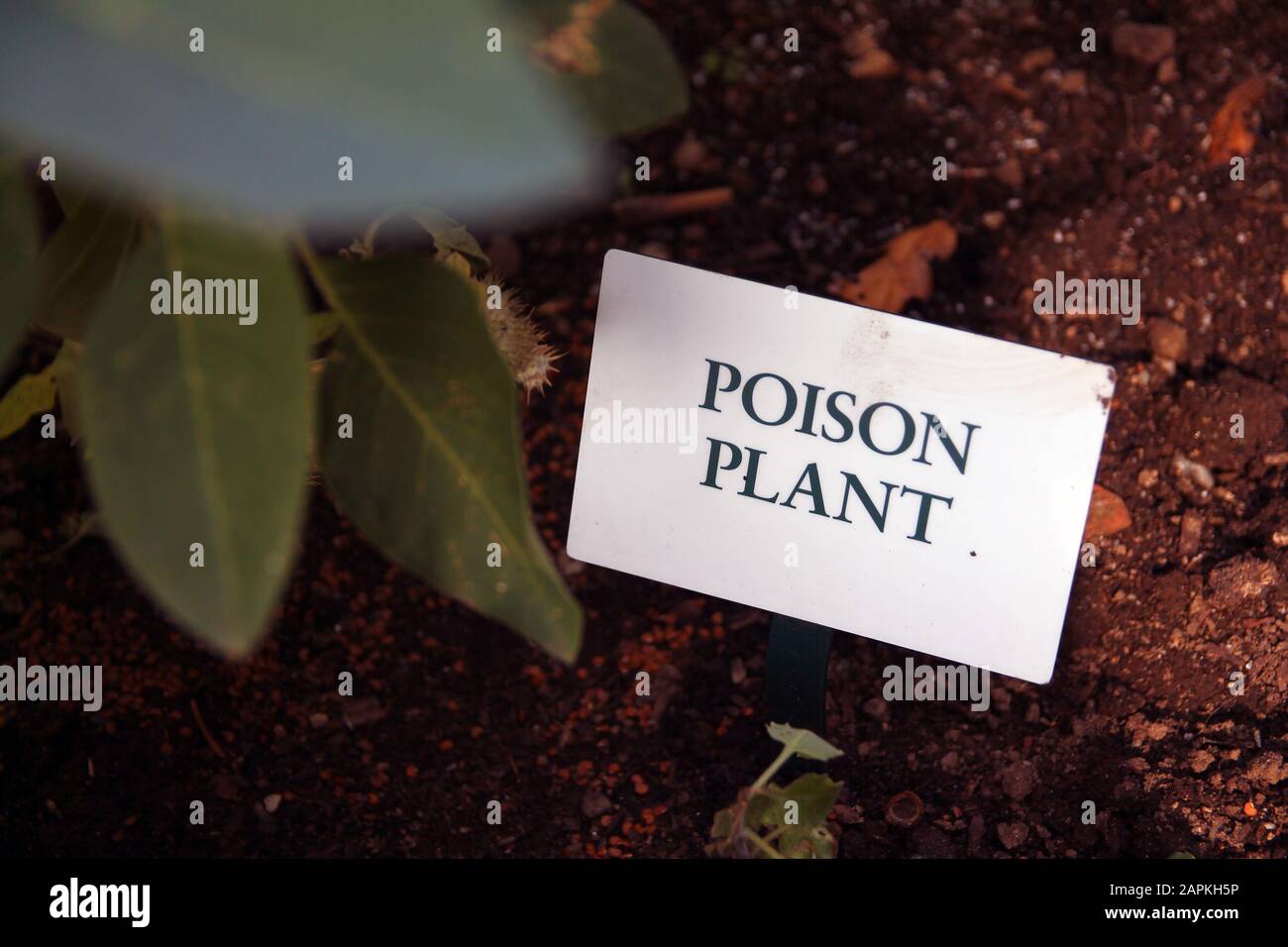 Poison Plan sign Stock Photo - Alamy
