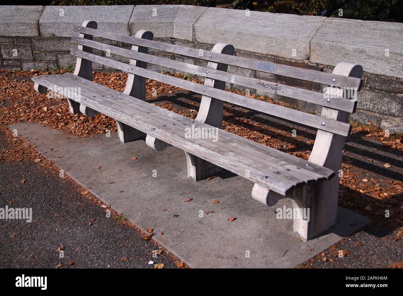 A park bench during the foliage in New York City Stock Photo - Alamy