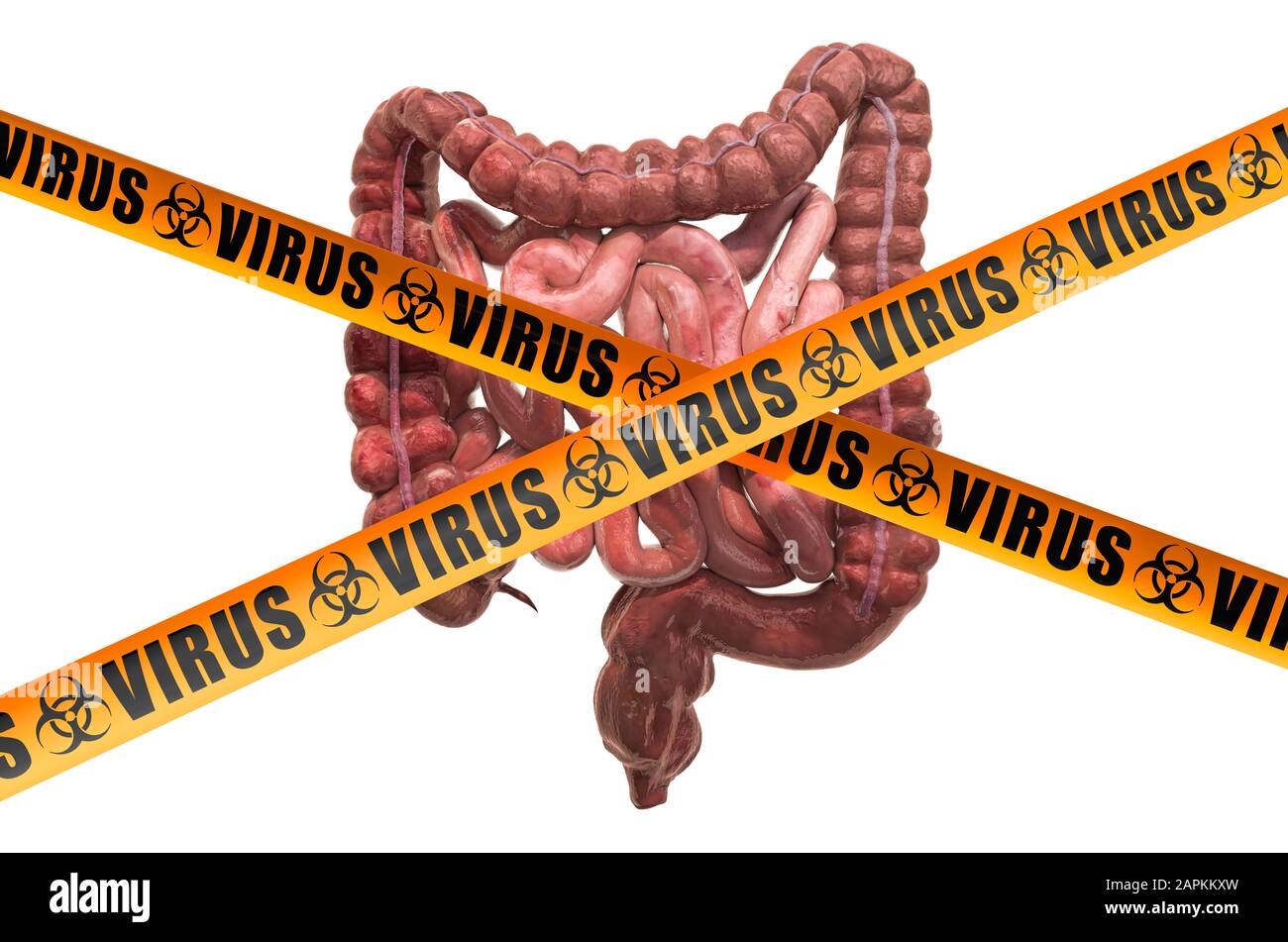Human intestines viruses. 3D rendering isolated on white background ...
