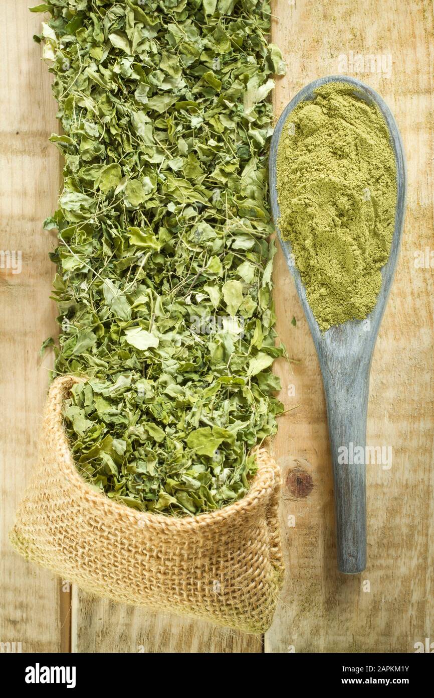 leaves and moringa powder, super food and natural medicine, Moringa ...