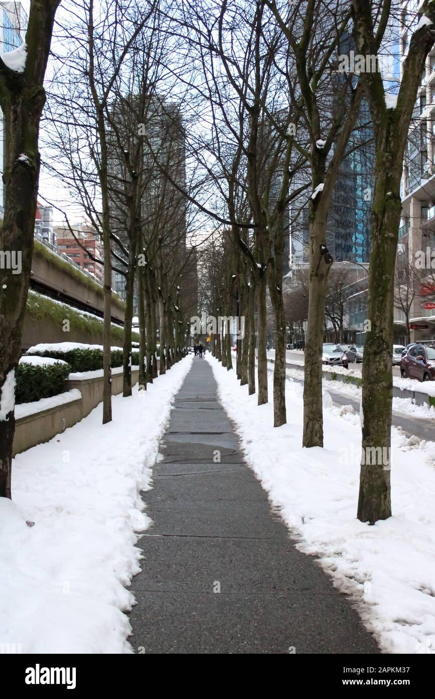 Snowy footpath in Downtown Vancouver with a nice tree line - Hornby ...