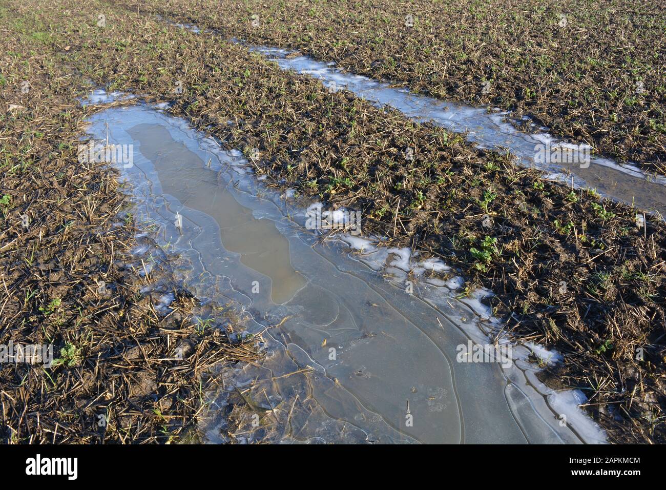 Tyre tracks frosty mud hi-res stock photography and images - Alamy