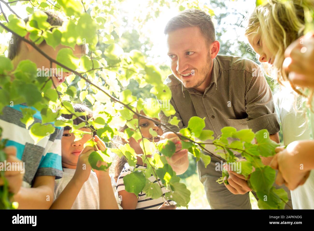 Teacher pupils environment hi-res stock photography and images - Alamy