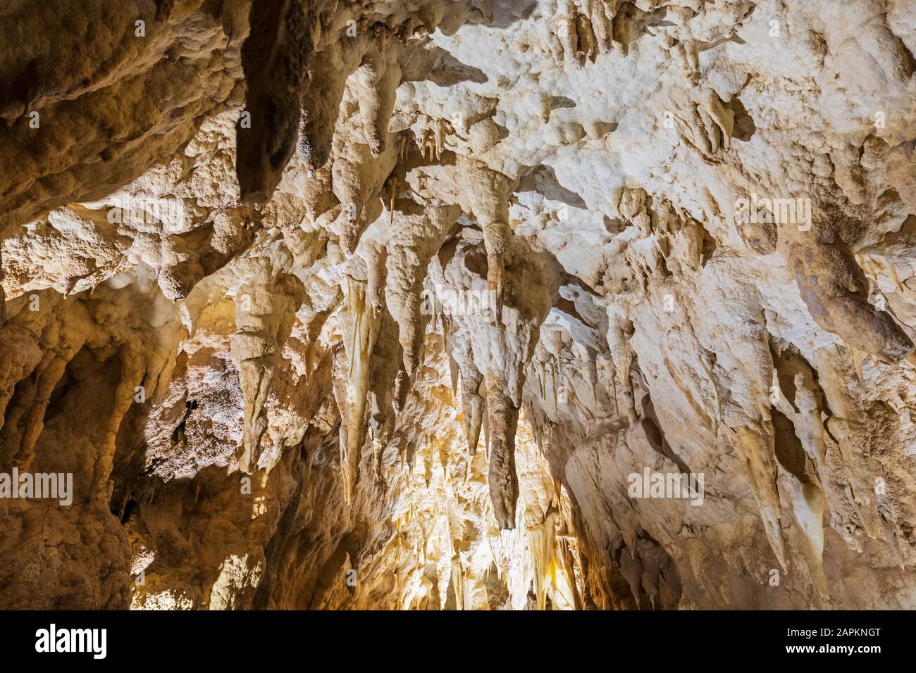New Zealand, Oceania, North Island, Waitomo Caves, Ruakuri Cave ...