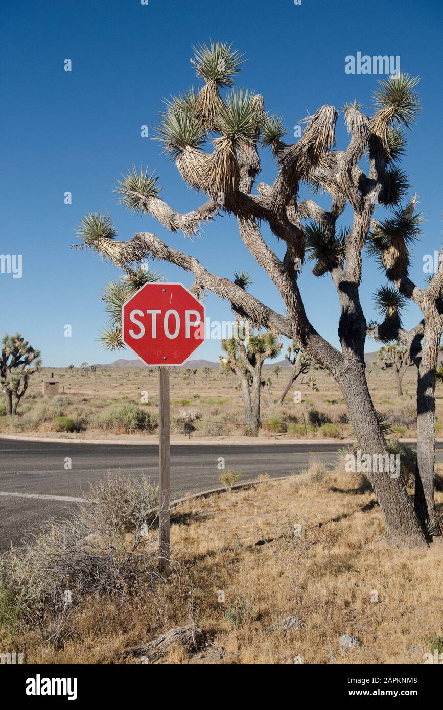 California Desert Rest Stop High Resolution Stock Photography and ...