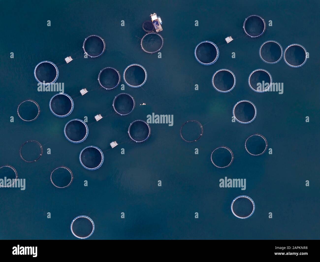 Aerial view of fish farm Stock Photo - Alamy