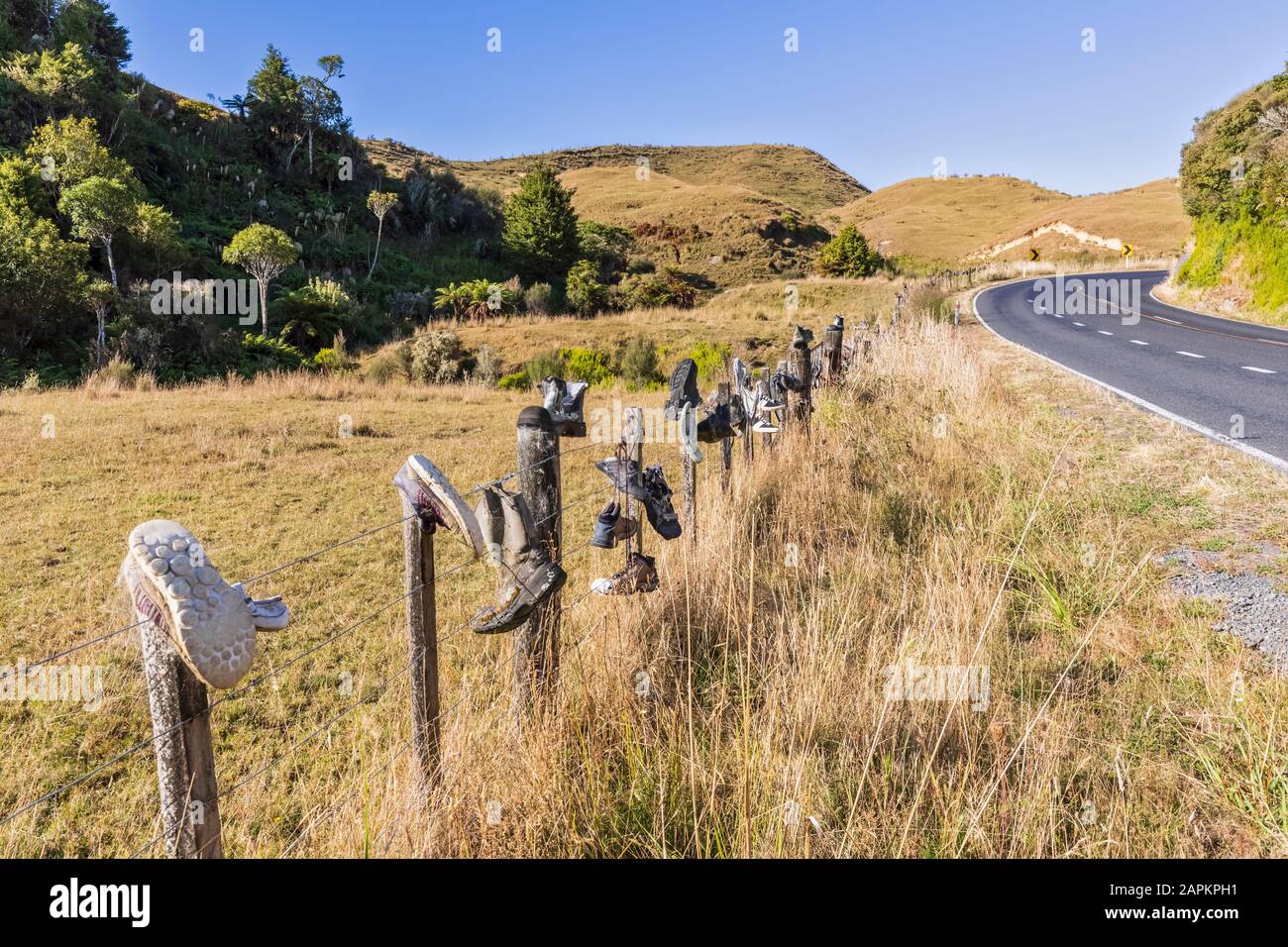 Te anga road hi-res stock photography and images - Alamy