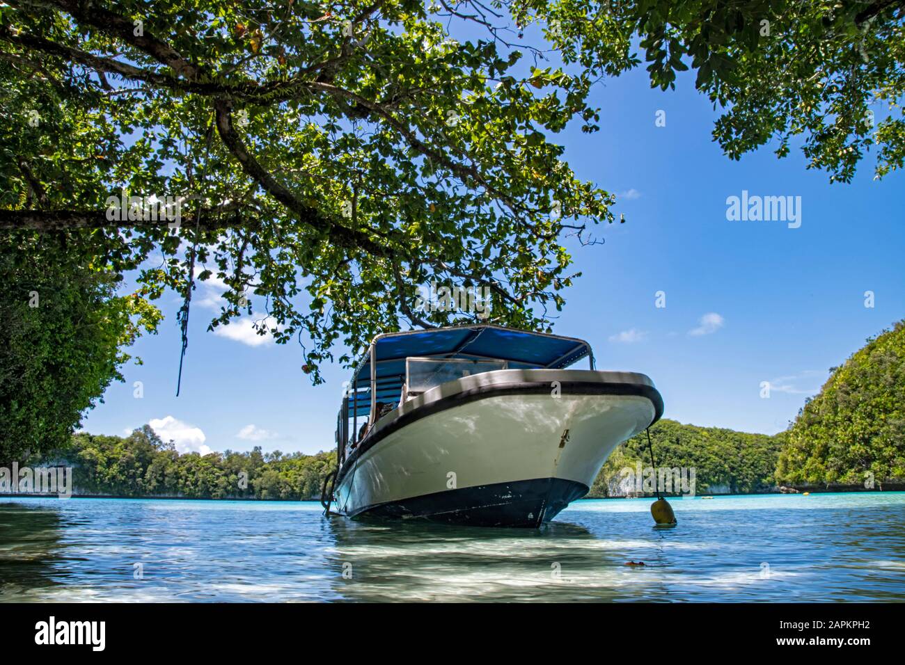boat at the beach, the Rock island, Palau Stock Photo - Alamy