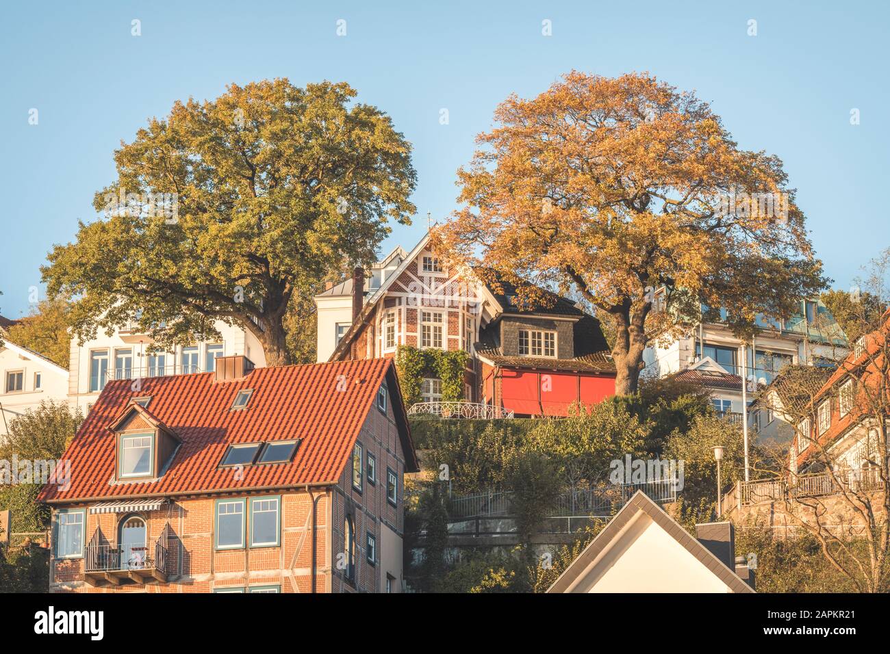 Suburb with trees hi-res stock photography and images - Alamy
